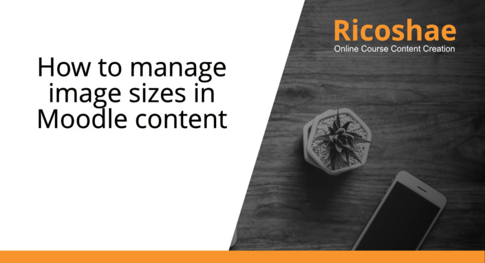 How to manage image sizes in Moodle content | Ricoshae