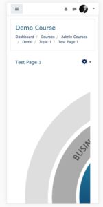 How to manage image sizes in Moodle content - Ricoshae